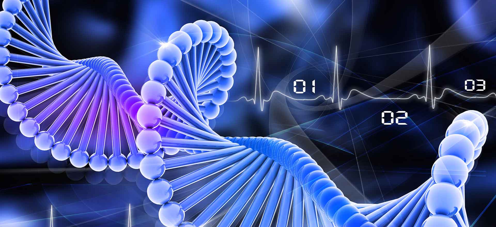 Physik News | Thema | Biophysik